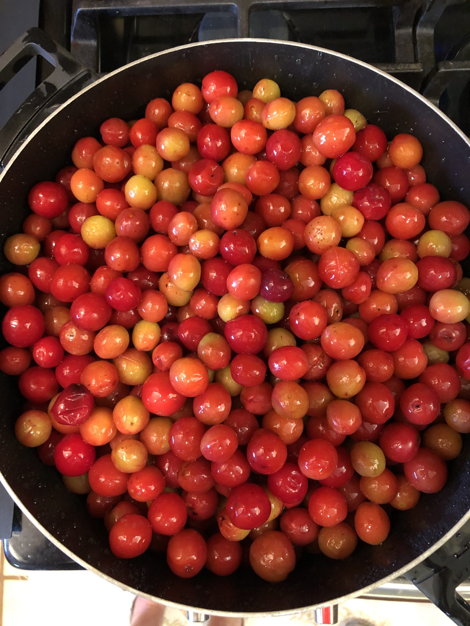 Sand Plum Jelly Recipe
